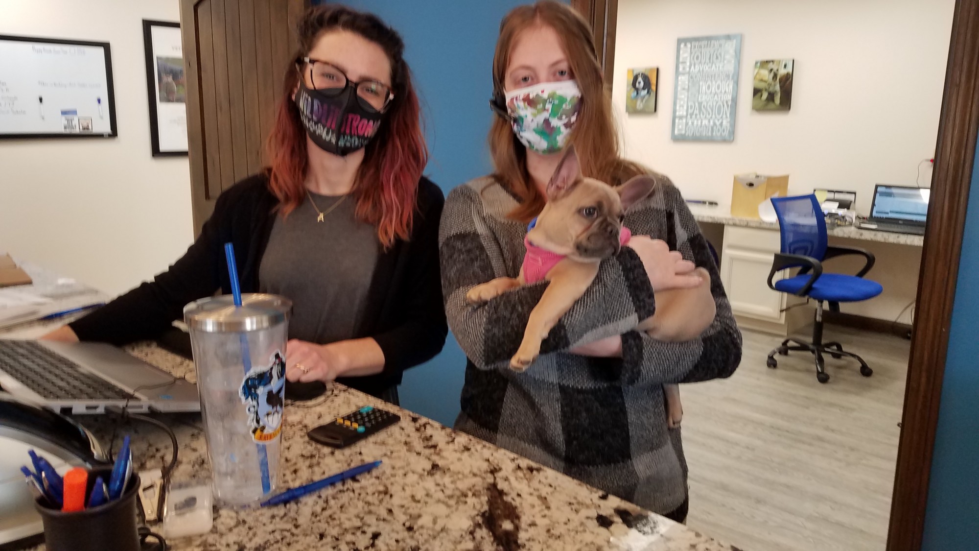 Change the Way Your Pet Behaves - The Behavior Clinic
