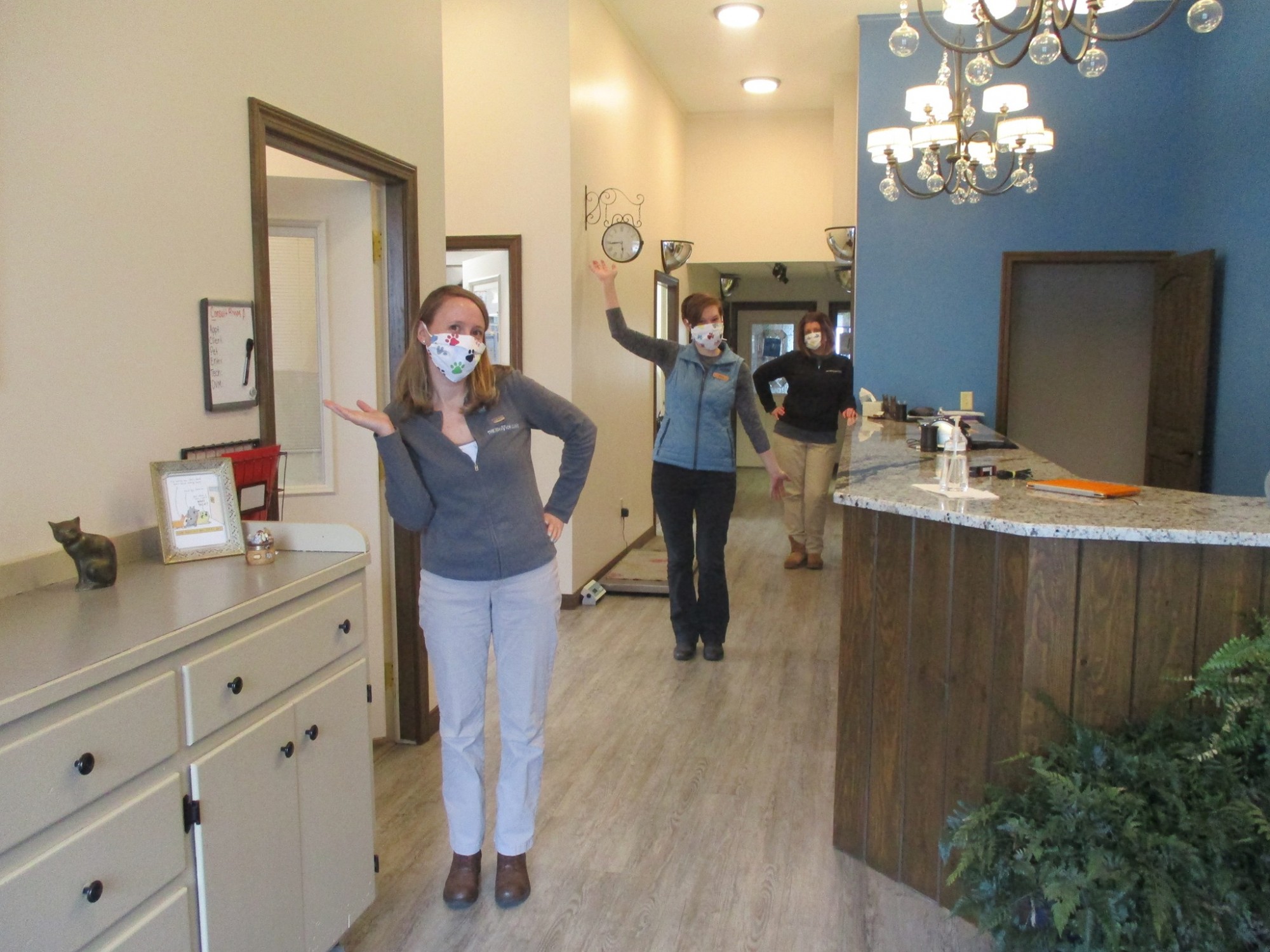 Why The Behavior Clinic?